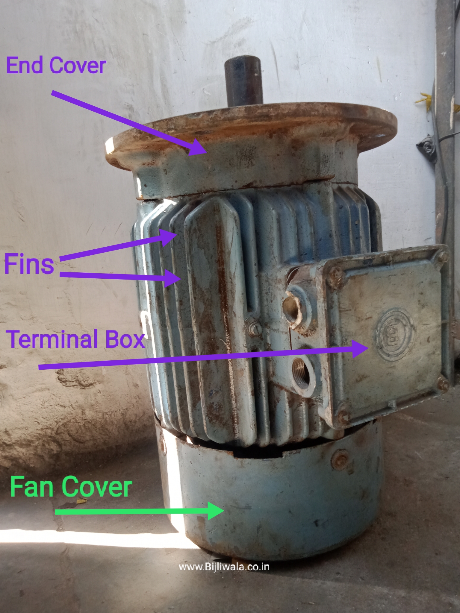 How to Test an Induction Motor? Complete Step-by-Step Guide – BIJLIWALA